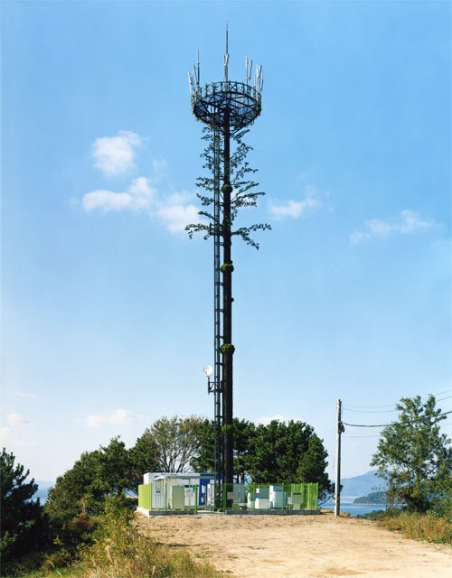 Camouflaged Cell Phone Towers | Amusing Planet